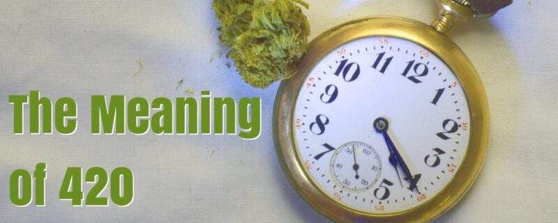 420 Meaning And How It Became National Weed Day - Bad Gramm3r